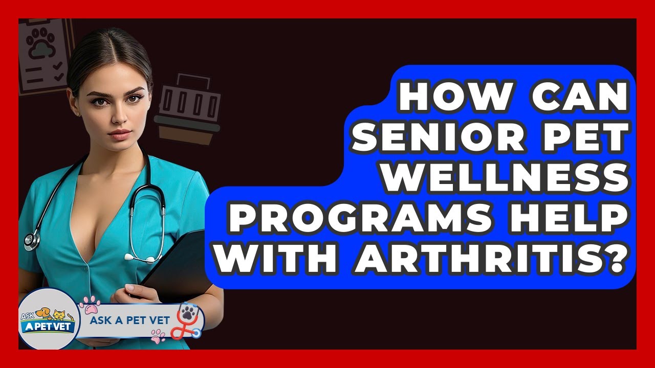 How Can Senior Pet Wellness Programs Help With Arthritis? - Ask A Pet ...