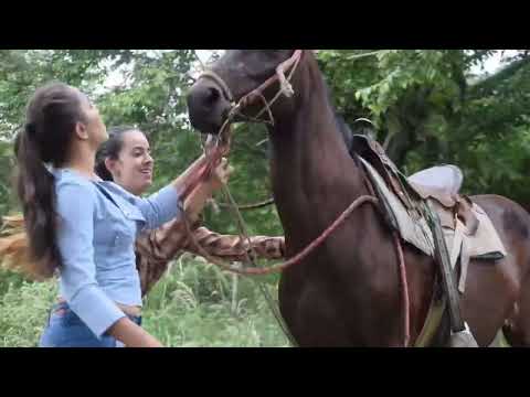 woman riding on horseback