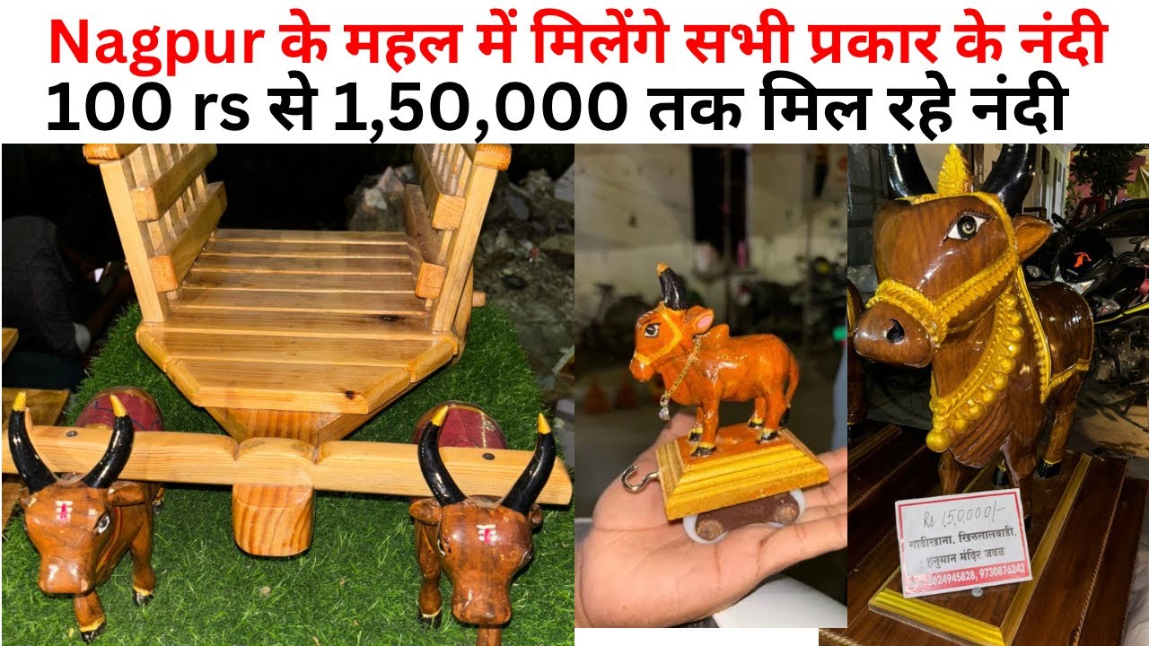 Nagpur me bacho ke liye mil rahe 150000 tak price wale nandi. | pola ...