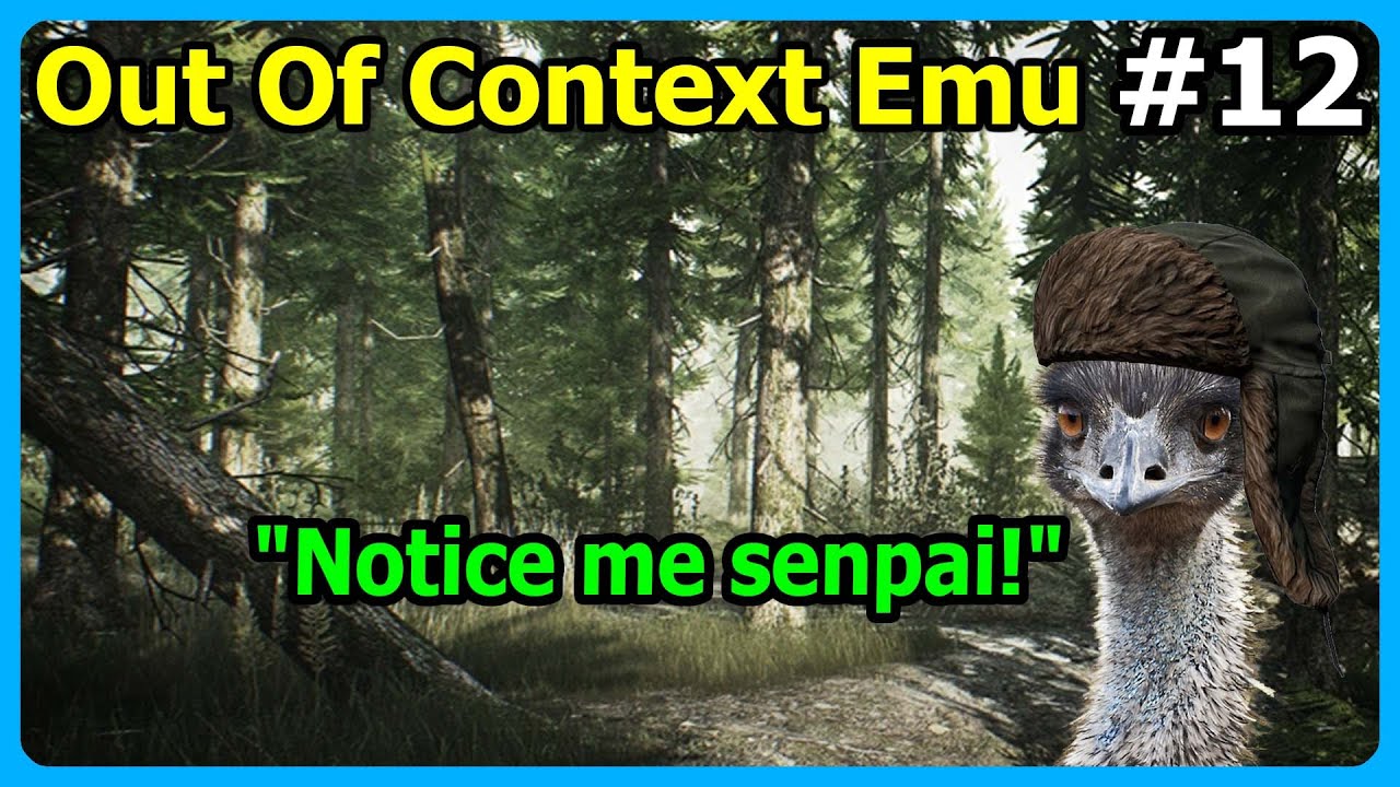 Out Of Context Emu | Funny Moments #12 - YouTube