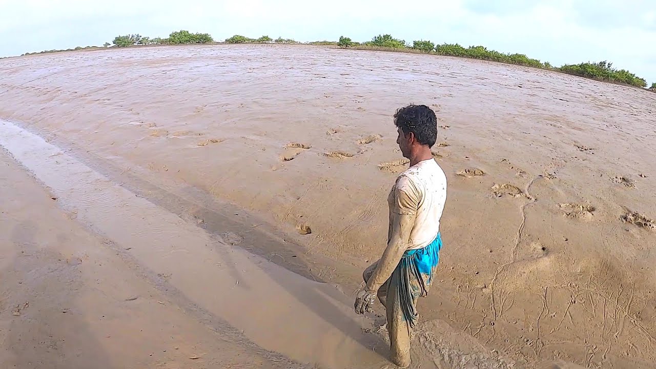 Pro Fisherman Catching Fish Without Any Material | Hand Fishing | 2023 ...