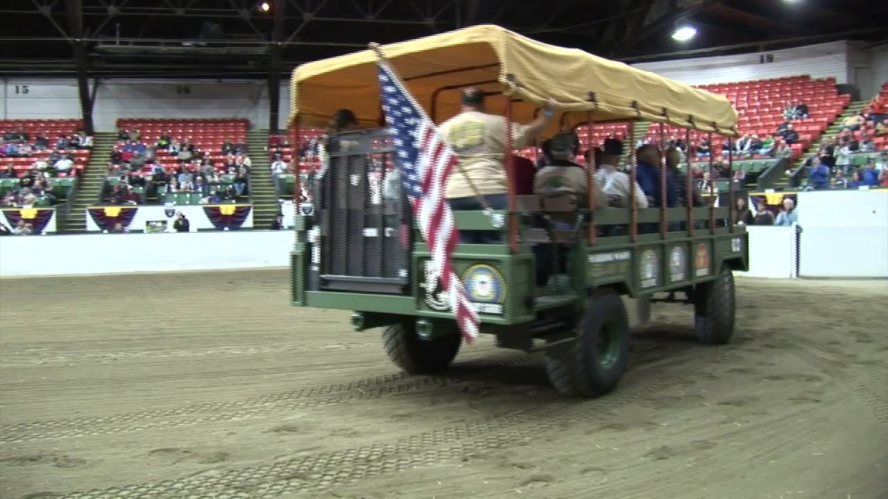 Warrior Wagon 2014 World Percheron Congress - YouTube