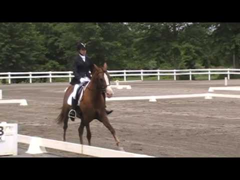 Beginner Novice Eventing Dressage Test B USEA - YouTube