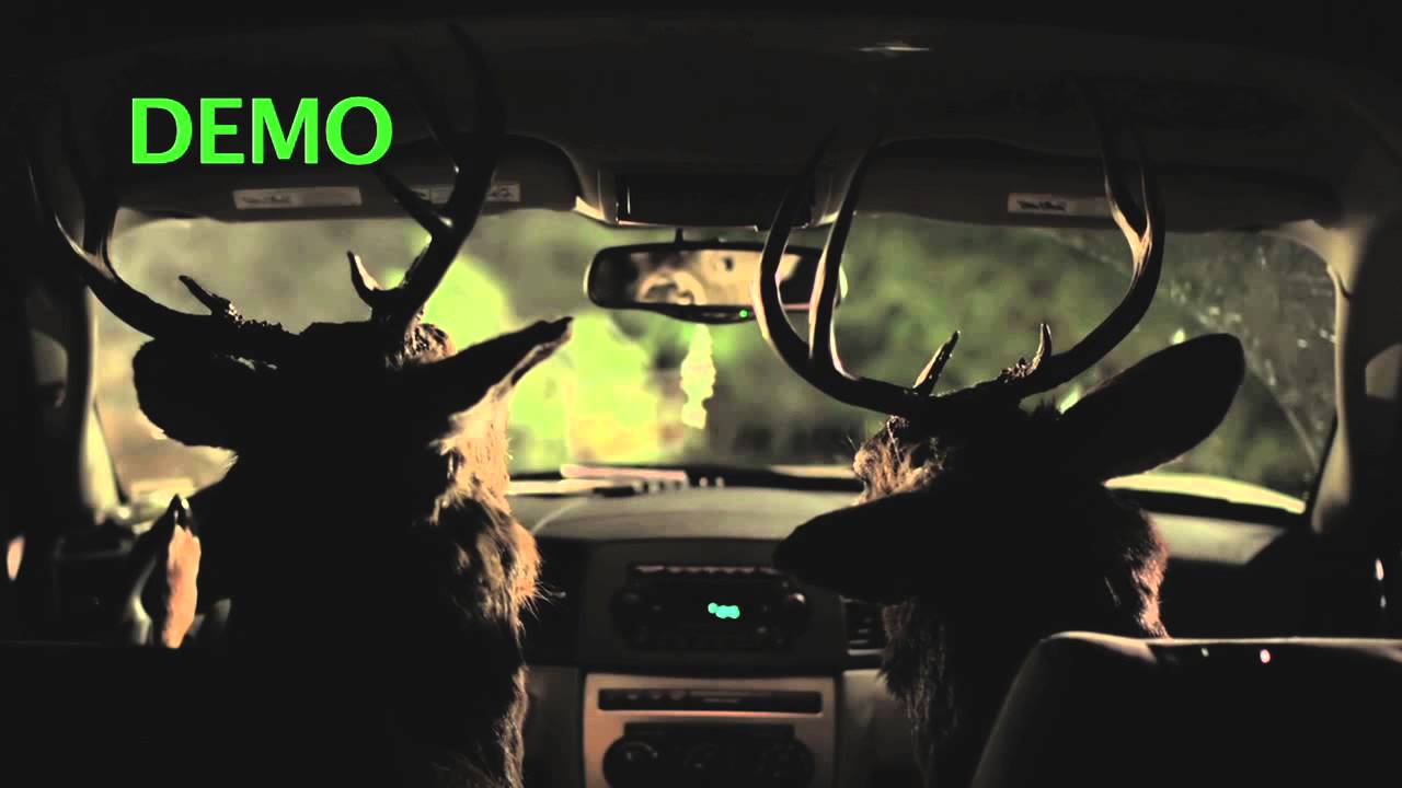 Deer Hit Commercial - YouTube