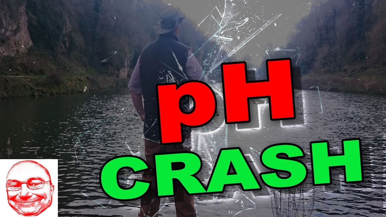 pH Crash what is it and how to prevent it. - YouTube