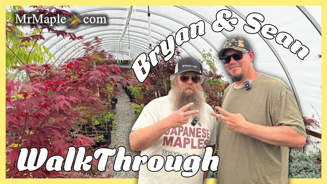 Bryan and Sean Cruise Through an Awesome Japanese Maple Greenhouse ...