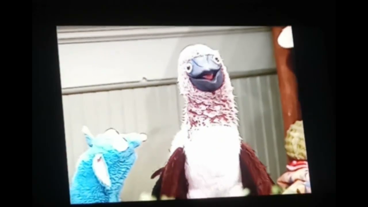 Bear In the big blue house Grandma Flutter's 100th Birthday Part 6 ...