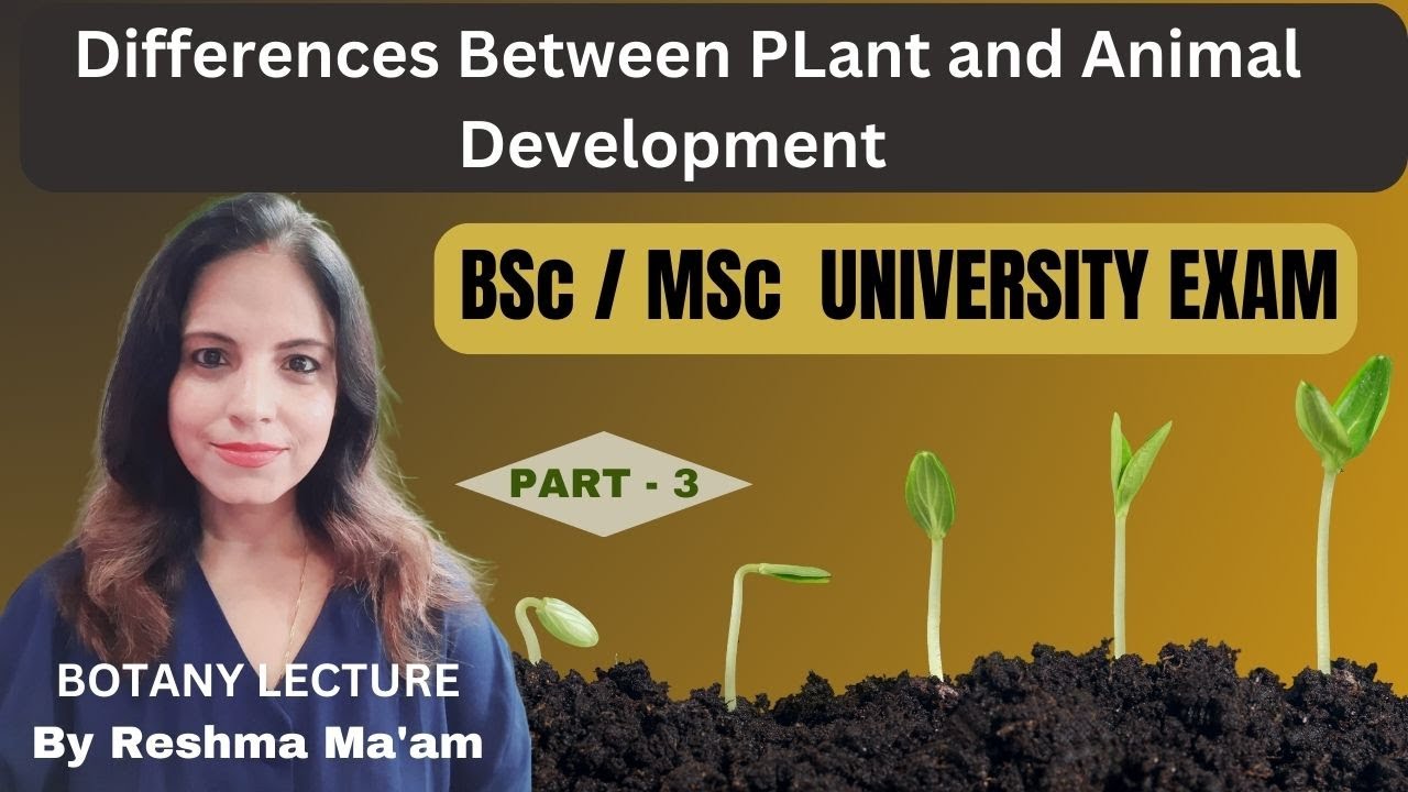 Differences between Plant and Animal development || BSc / MSc Botany ...