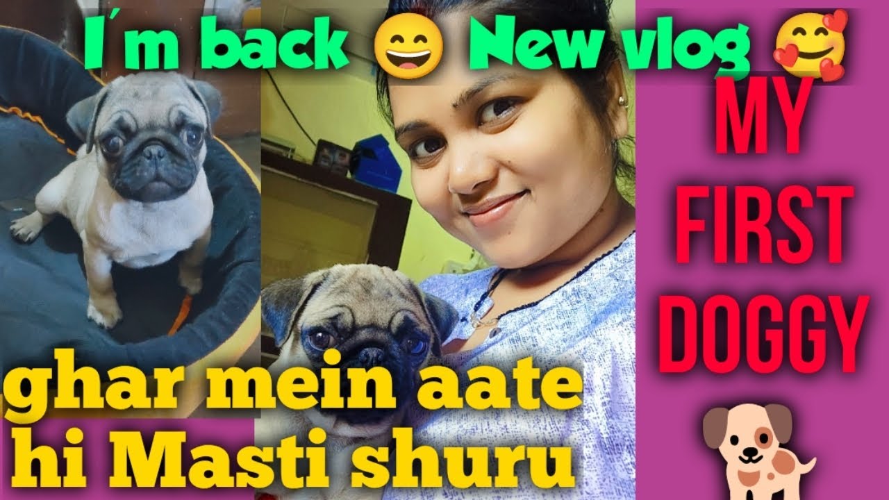 maine apne ghar mein laya first time doggy. iska naam Kya Rakha maine ...