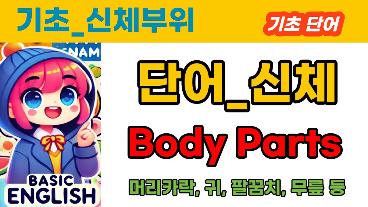 한영톡톡 기초 단어신체 부위 영어로 표현하기머리 눈코어깨다리 는 영어로 무엇일까요왕초보영어생활영어 Youtube