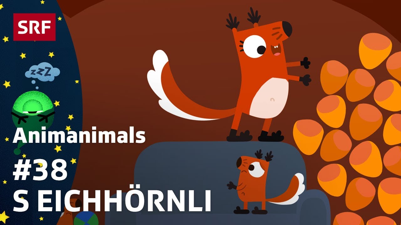 Guetnachtgschichtli: Animanimals – Eichhörnchen #38 | Kindervideos ...