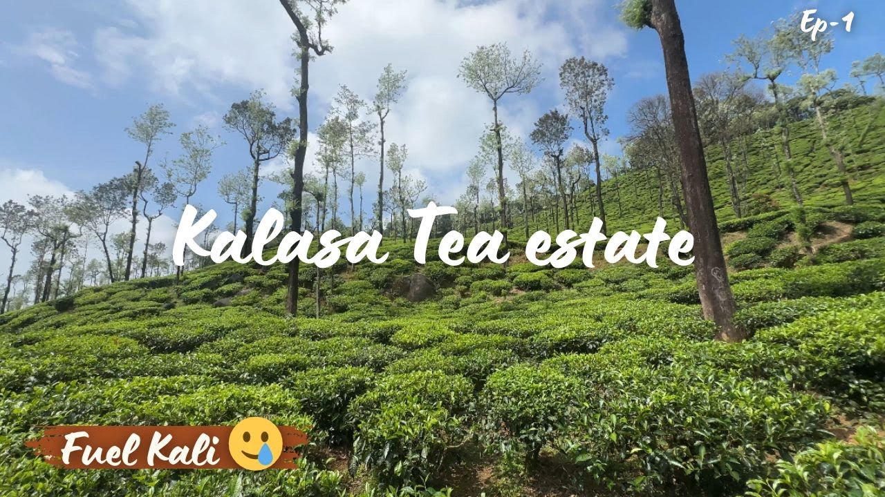 EP-01, Kelagur Tea Estate, GADI FUEL KALI🥲, Bengaluru to kalasa. - YouTube
