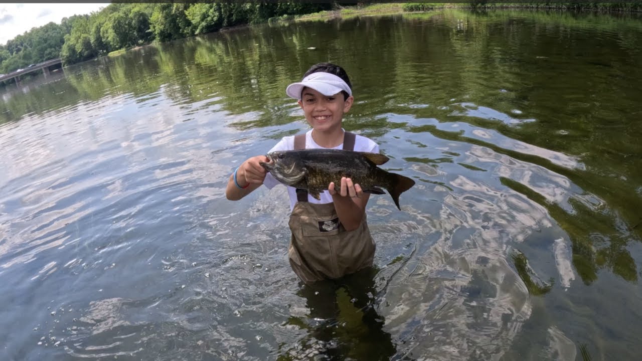 How To Catch Smallmouth Bass On The Drop Shot Rig! - YouTube