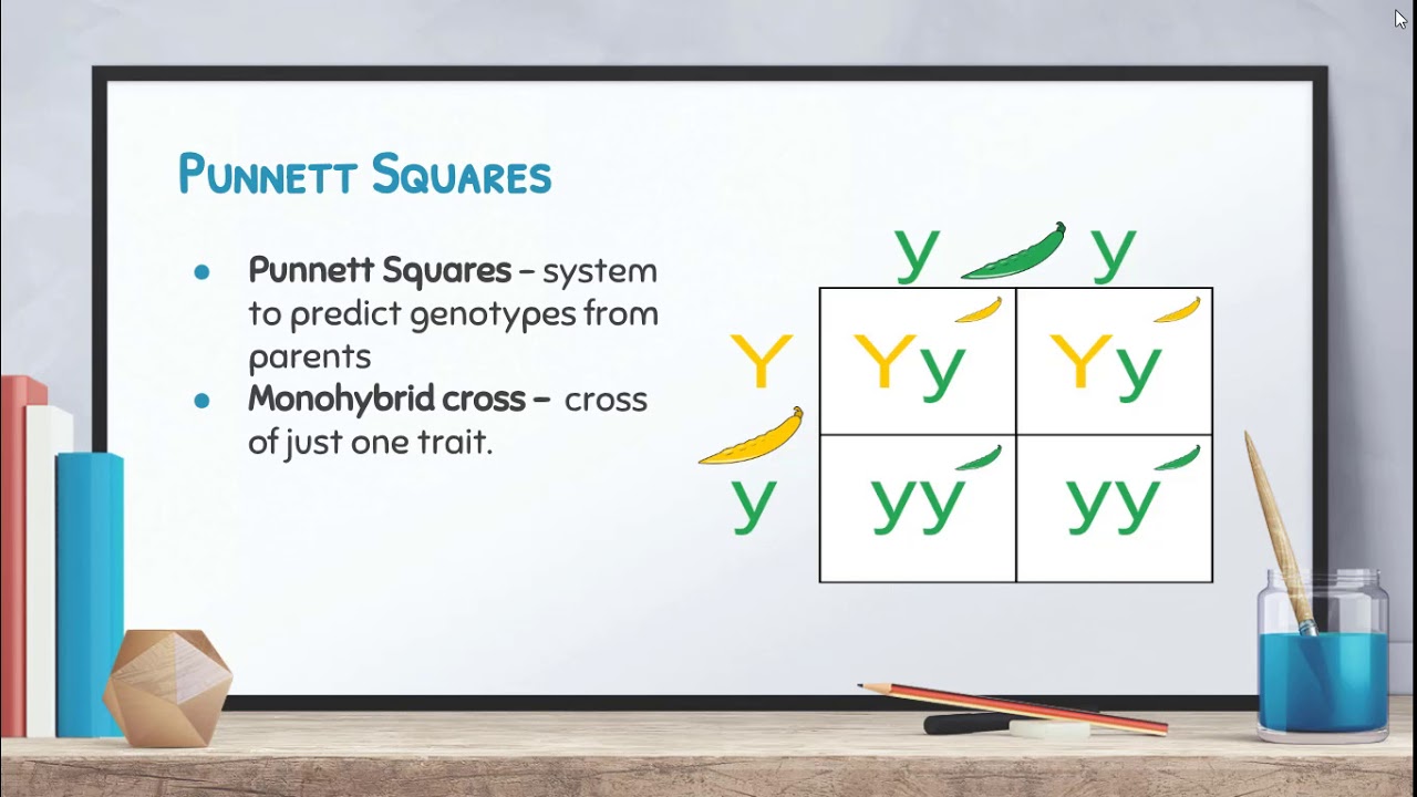 Biology: Video 7-1: Introduction to Genetics - YouTube