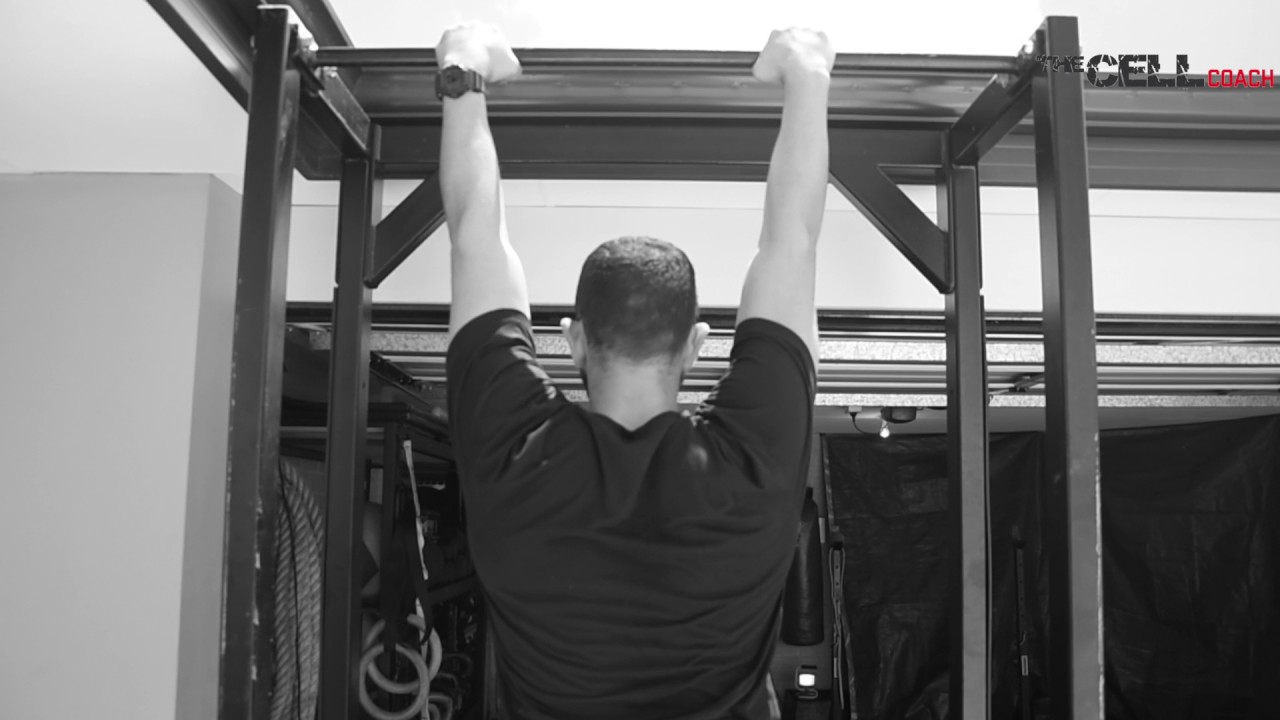 Scap Pull Up - YouTube
