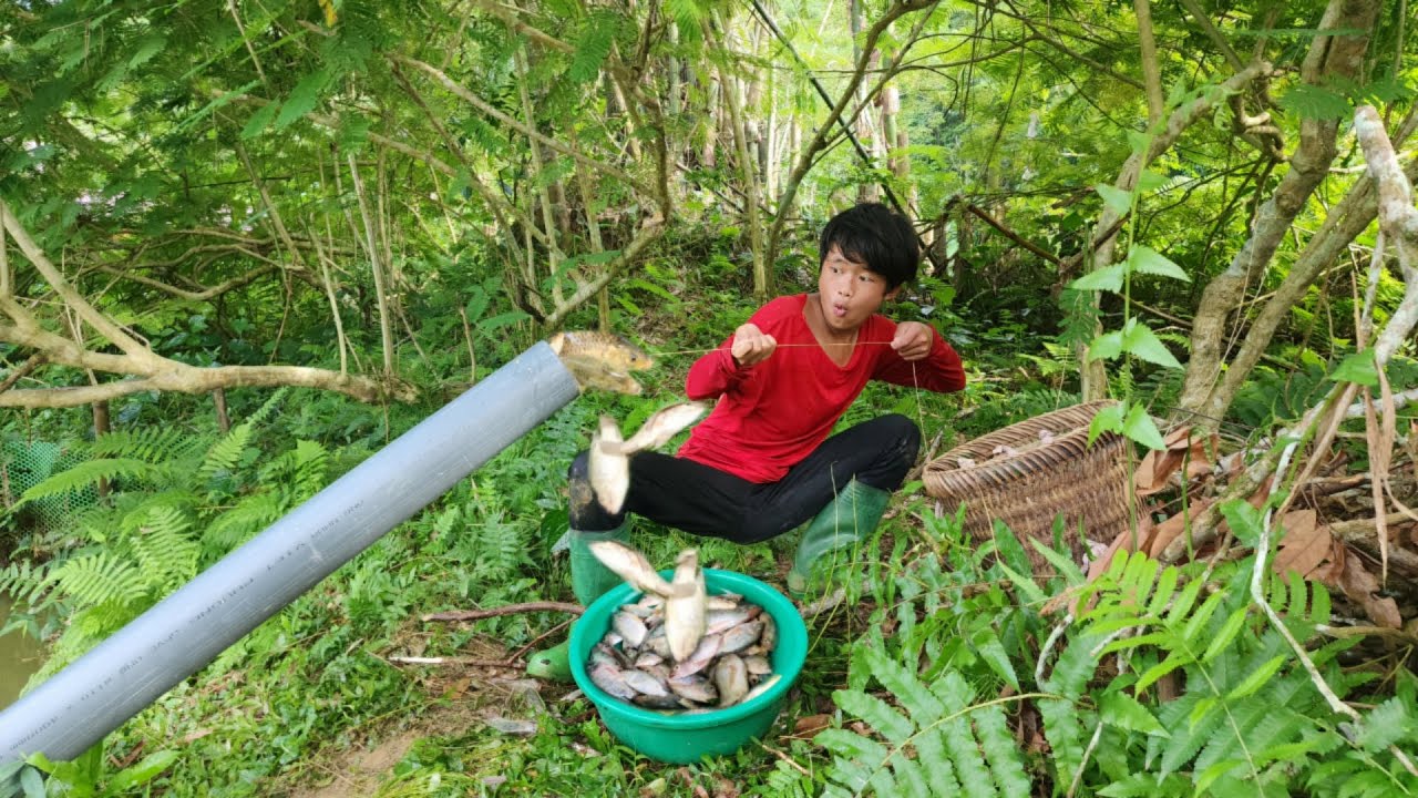 Lam fished with PVC pipe and unexpectedly caught a lot of fish. - YouTube