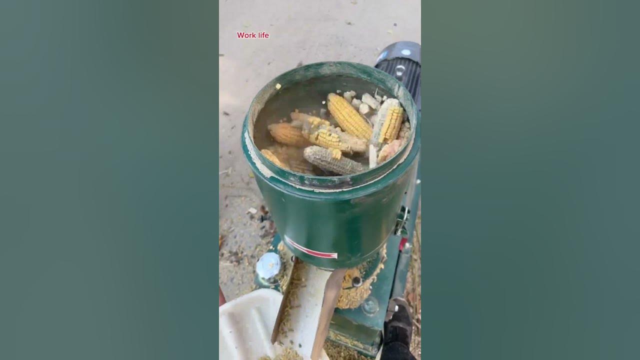 The process of crushing corn kernels - YouTube