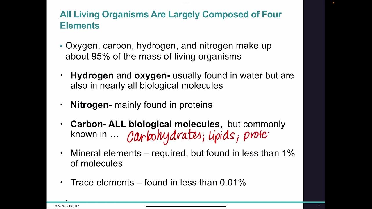 101 2B Biological Molecules Intro - YouTube