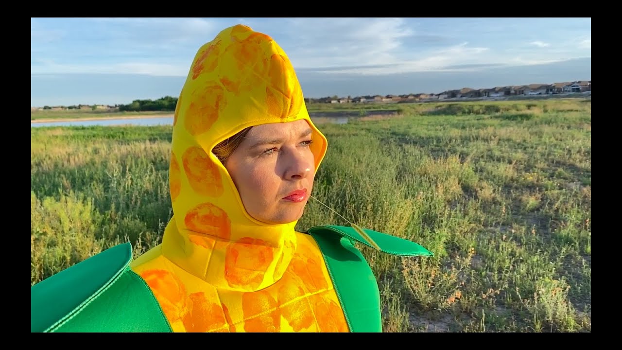"Corn"-tine - The Ballad of a Lonesome Corn - YouTube