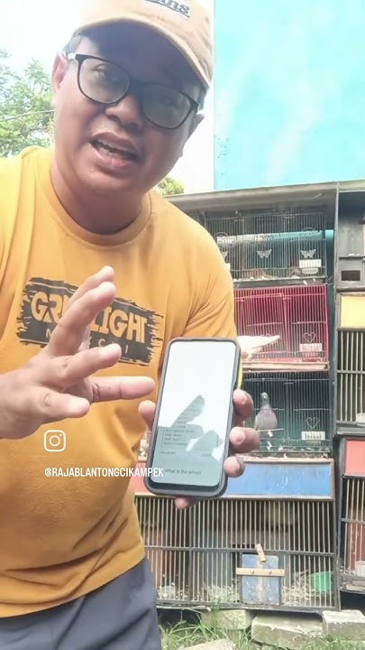 Selamat mas Mendy Eltha di Jambi berhasil menang undian giveaway periode 21-30 April 2025 - YouTube