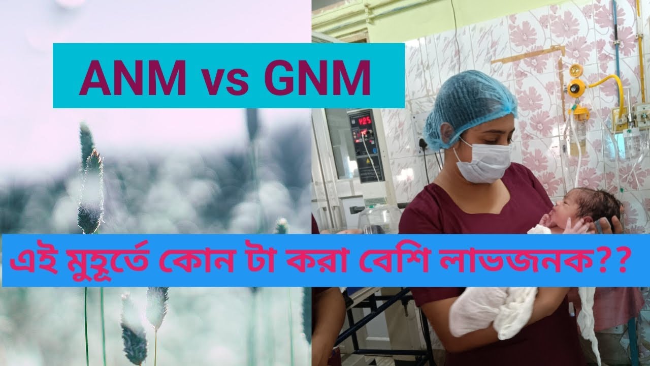 ANM vs GNM//এই মুহূর্তে কোন টা করা বেশি লাভ জনক?? #gnm #anm #bscnursing ...