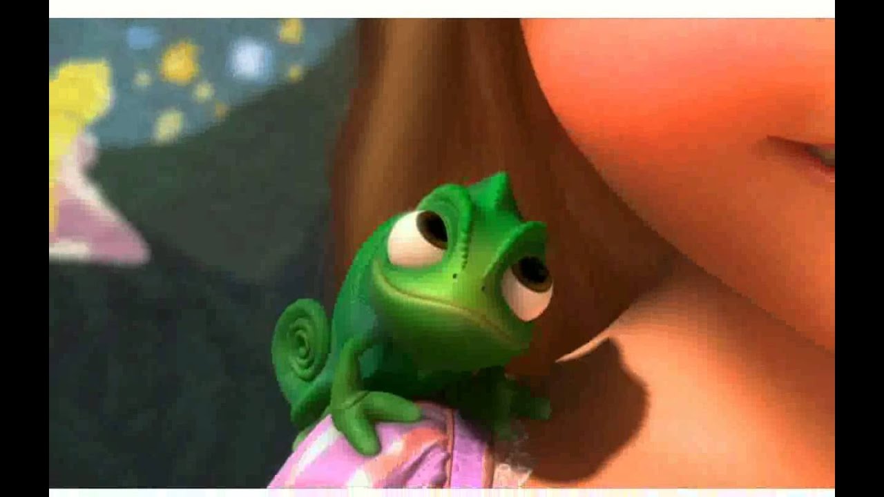Tangled Pascal - pictures - YouTube