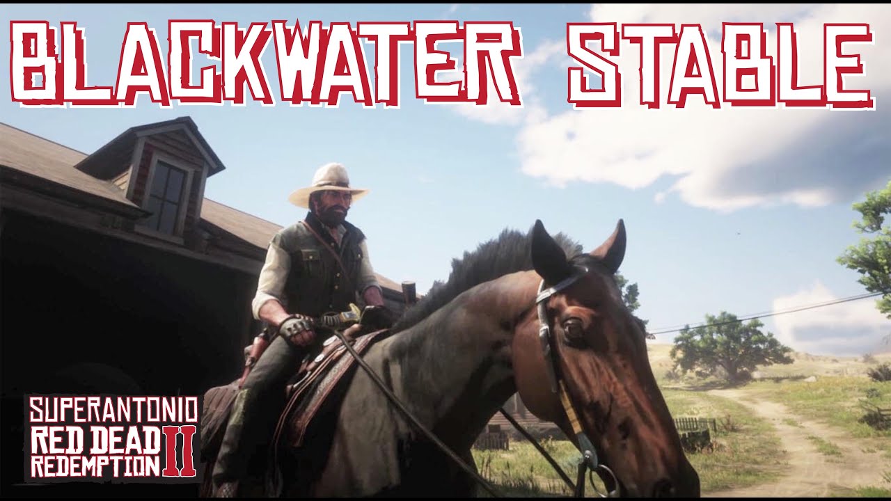 An Overview of the Horses at the Blackwater Stable in Red Dead ...