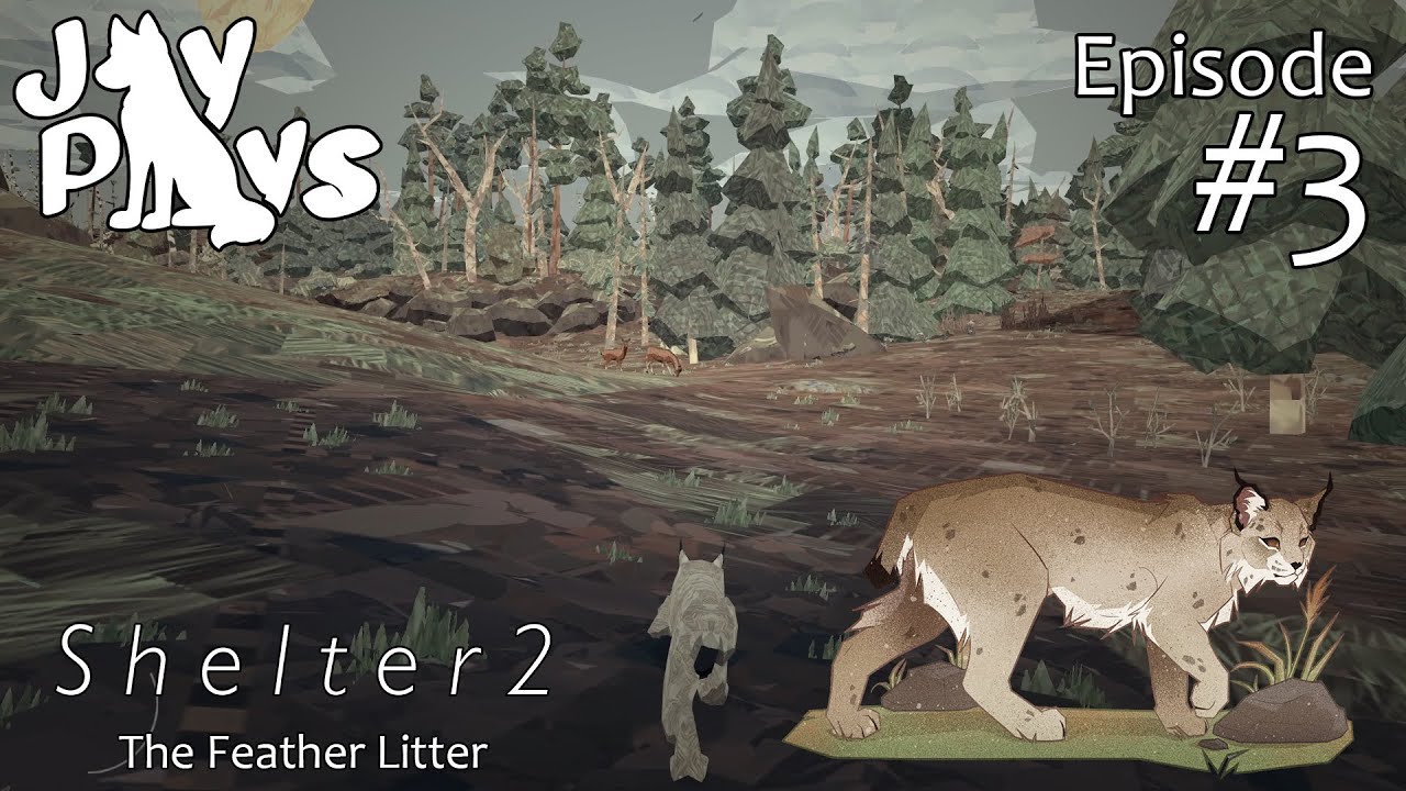 The Ever Turning Sun | Shelter 2: The Feather Litter #3 - YouTube