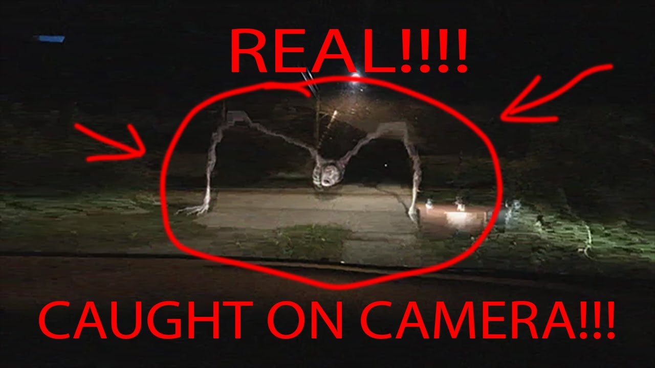 Country Road Creature Caught on Camera!!! (REAL!1!!1!) - YouTube