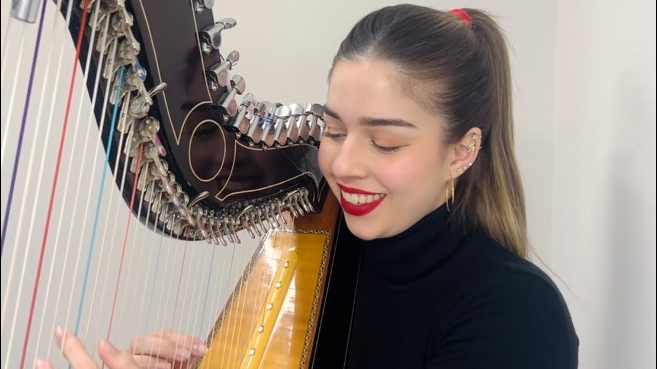 Piano - Bebu Silvetti / ARPA PARAGUAYA / PARAGUAYAN HARP - YouTube