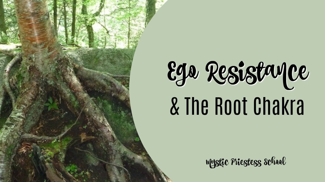 Your chakra system & ego resistance - YouTube