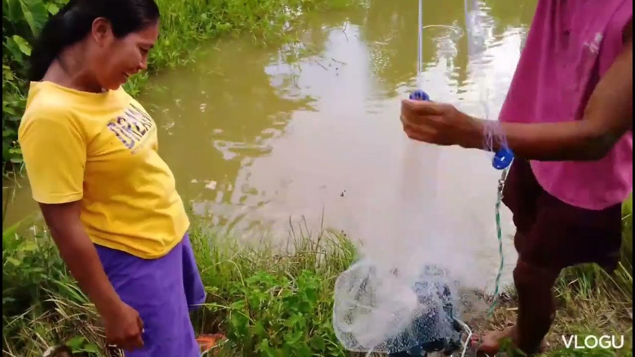 part ll namin sa Batoon/ PANGHUHULI NG mga isda/gamit Ang LAMBAT ngayon/Ang daming huli - YouTube