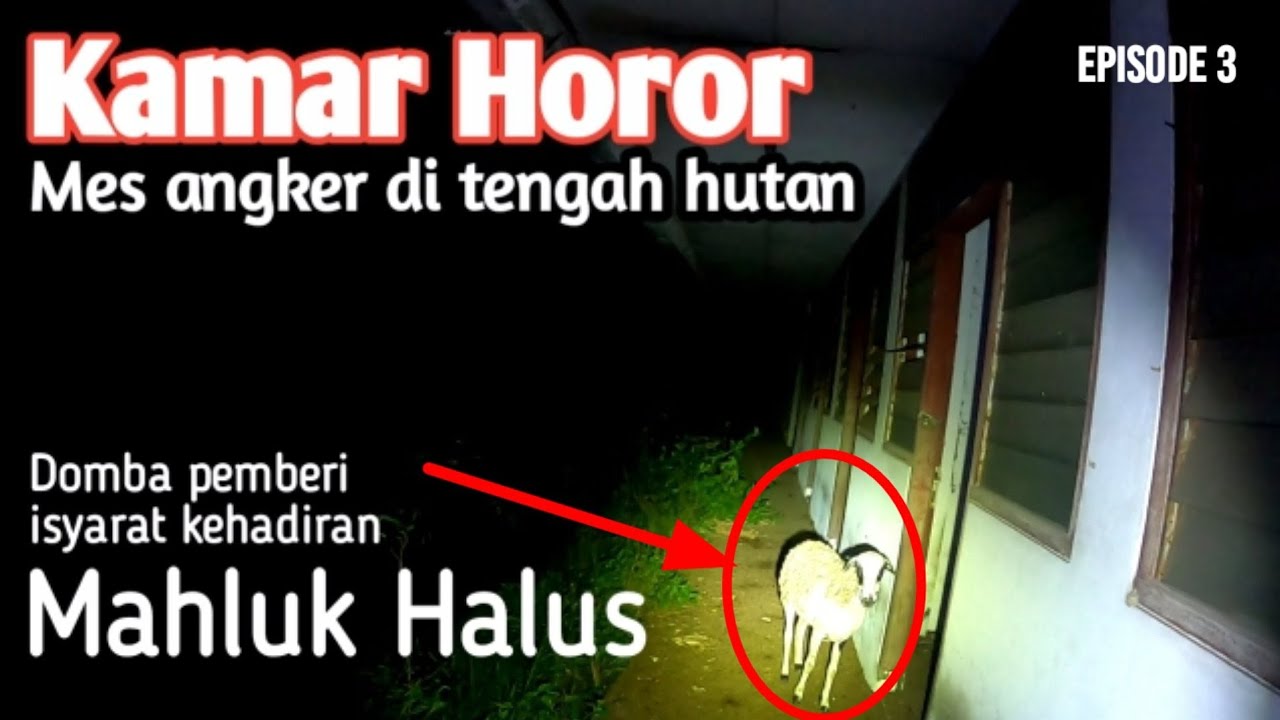 KAMAR HOROR MES ANGKER DI TENGAH HUTAN|DOMBA INI KASIH ISYARAT ...