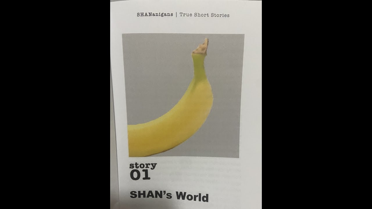 SHANanigans SHANs World by Shannon Rae Provost - YouTube