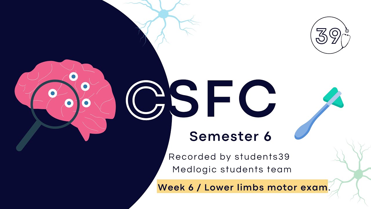 CSFC | lower limbs motor exam. | د. منتظر سنبه - YouTube