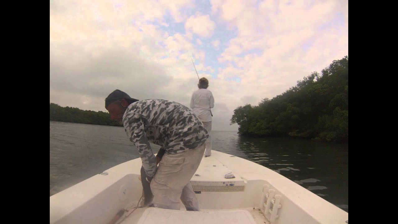 redfish 26 inch - YouTube