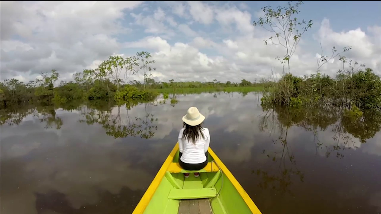 Exploring the Amazon river and lakes - YouTube