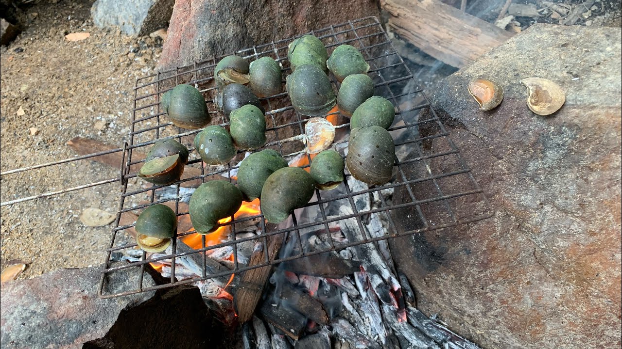 Roast Snails - YouTube