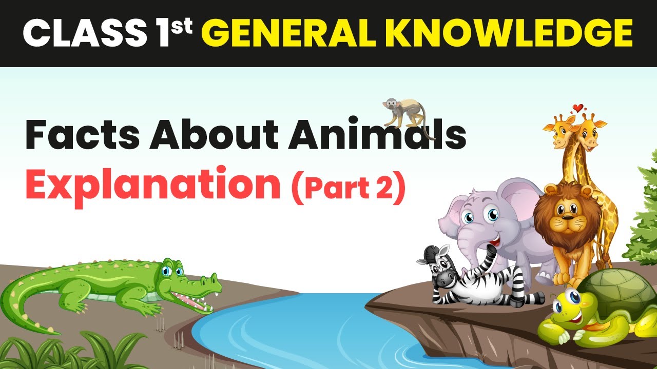Facts About Animals (G.K) - Explanation (Part 2) | Class 1 General ...