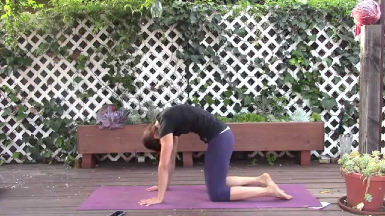 Primal Coding: Pre-stretch Warm-up - YouTube