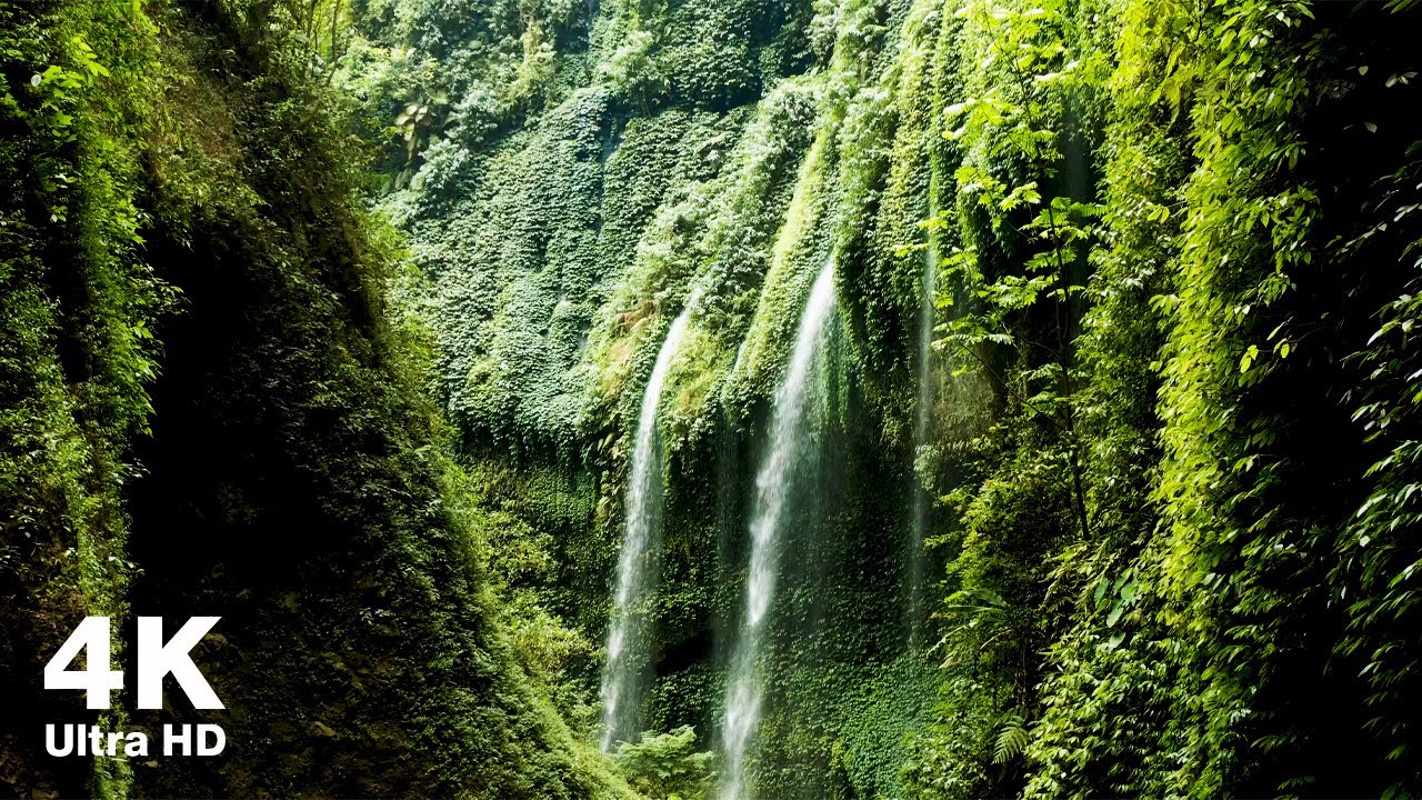 Waterfalls Cascading Through Vine Plants Covering The Cliffs | Stock ...