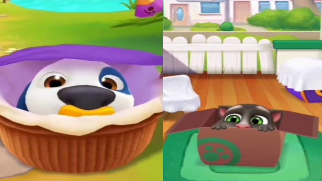 My Talking Hank Vs My Talking Tom 2 - YouTube
