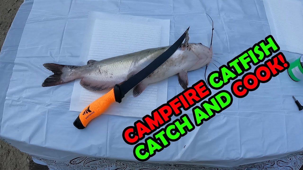 Catfish CATCH and COOK Over a CAMPFIRE! (Amazing All in One Full Meal ...