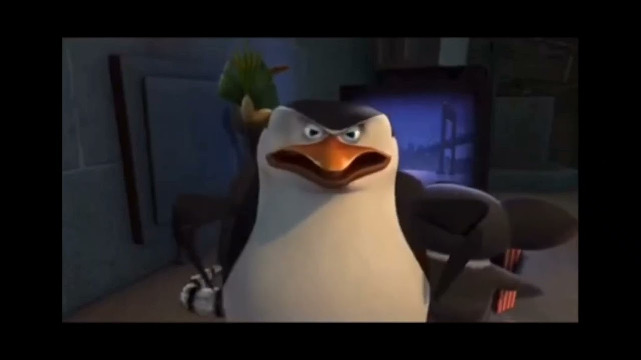 Skipper Sends an Angry Message to King Frog and his Allies - YouTube