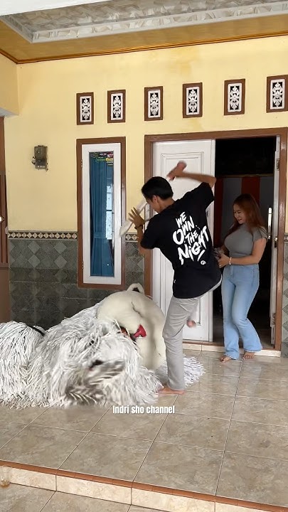 Cewek cantik di ganggu can macanan saat lagi membersihkan kaca langsung lapor ayangnya ‼️ - YouTube