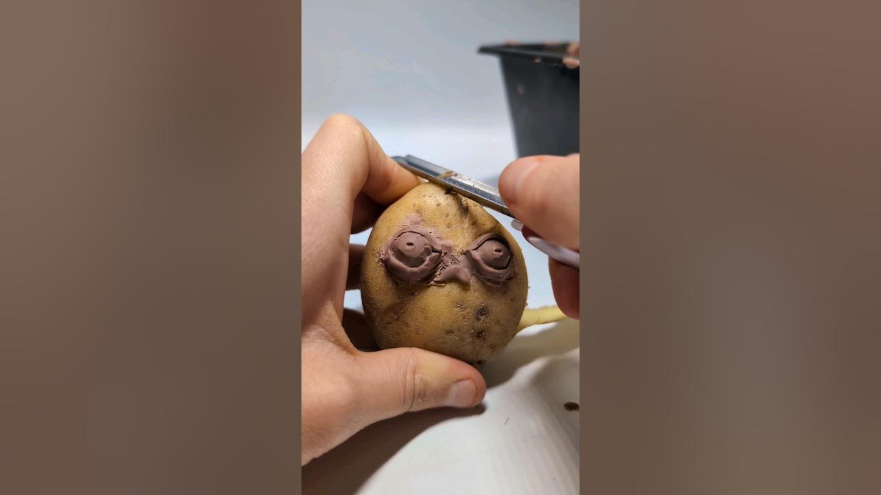 RIP 🥔 @johnlegend #DreamTrackAI what if potatoes had eyes? #art #potato #artist #potatoes - YouTube