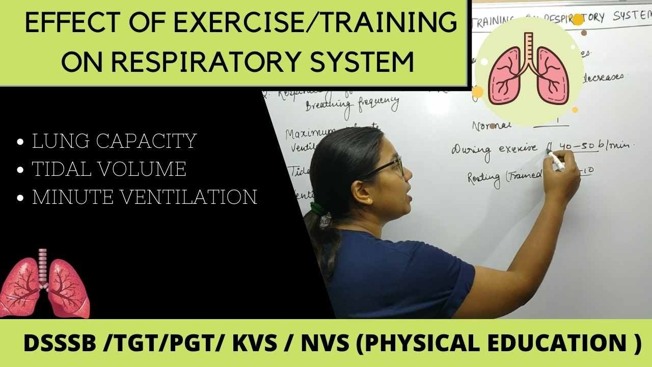 EFFECT OF EXERCISE/TRAINING ON RESPIRATORY SYSTEM || B.P.ED || M.P.ED ...