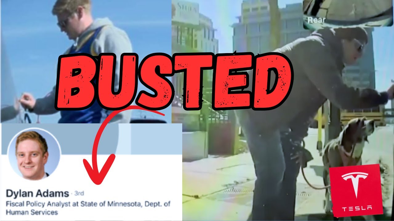 Real government official Caught Vandalizing A Tesla - YouTube