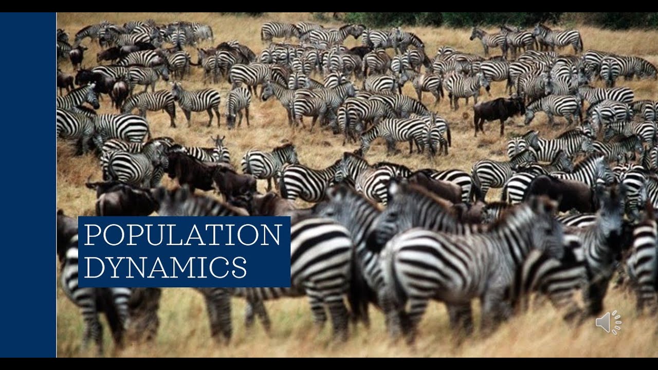 APES 3i Population Dynamics Lecture - YouTube