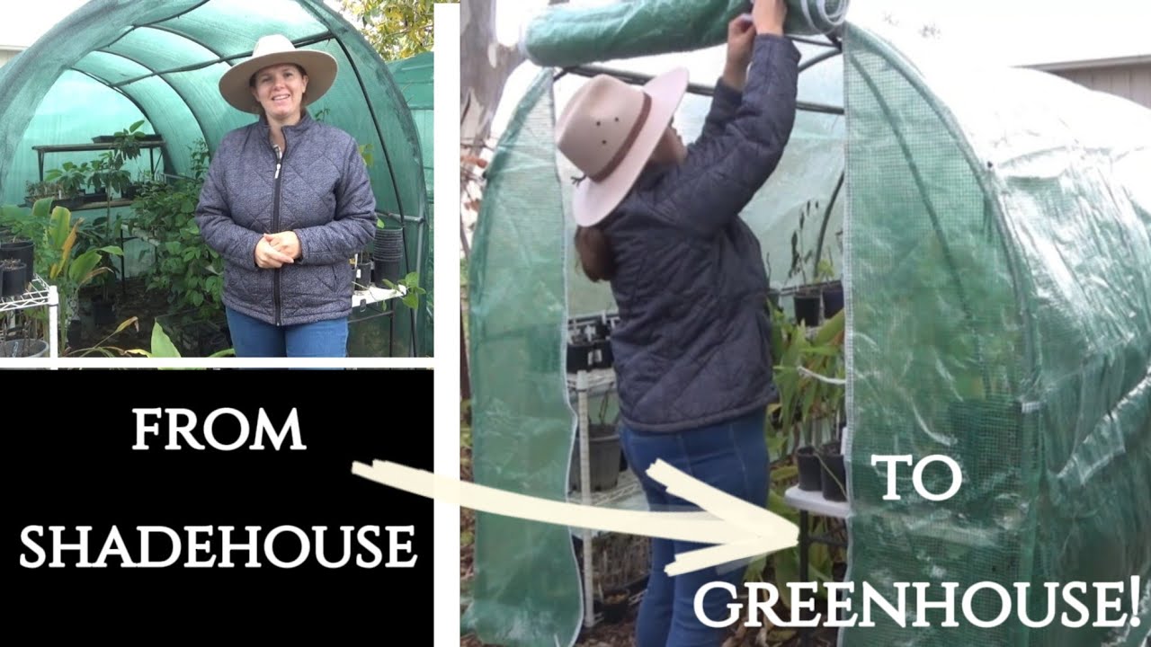 Transforming our shadehouse into a greenhouse | Perfect for DIY/kit ...